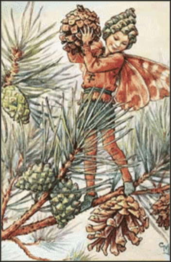 The StoryTeller!: ~The Little Pine Tree